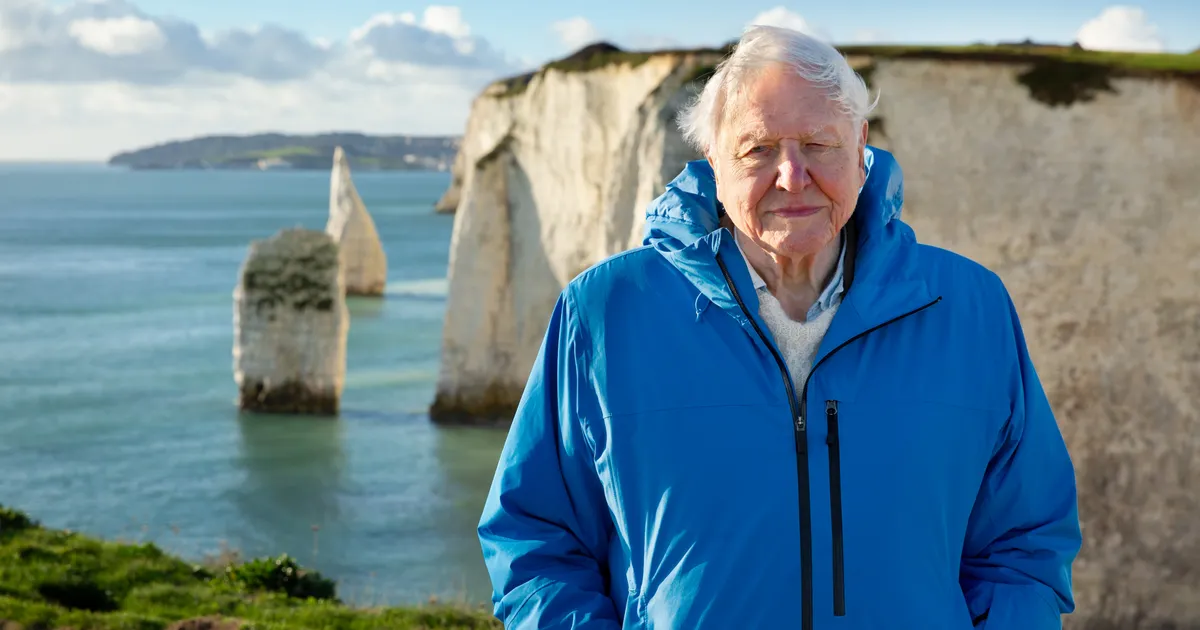 Attenborough's Ocean in Concert - Brisbane Festival